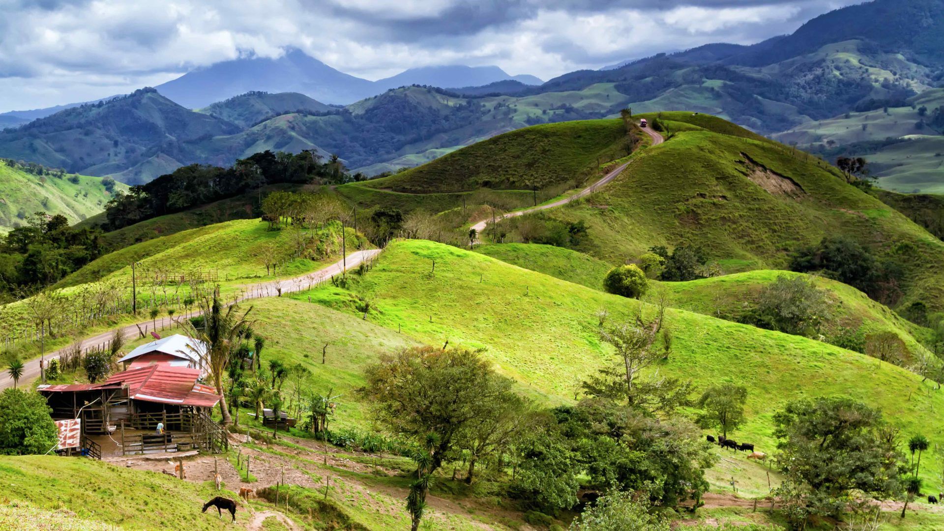Monteverde: Tips & Attractions | Mixtravel